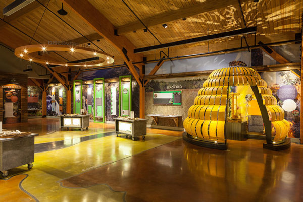 The Importance of Museums – Why Do People Visit? - Warner Museums